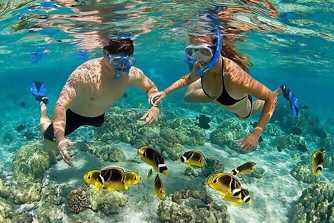 Group tour - Snorkeling by speeboat in Phu Quoc island - What’s Included and What’s Not