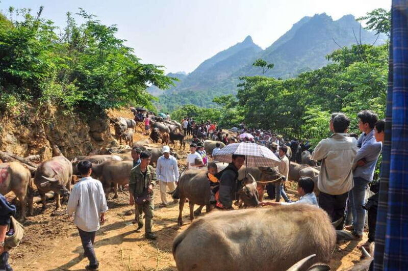 Group tour - TREKKING ON VIETNAM'S HIDDEN TRAILS 13D12N - The Price & Value
