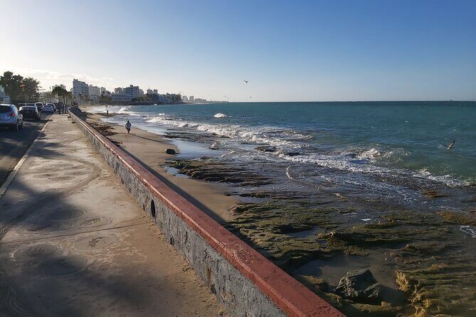 Group Transportation in airport, cruise ships, hotels, bnb's in San Juan, PR - What the Experience Offers for Your Puerto Rican Visit