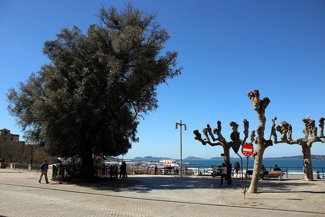 GROUP walking tour in Vigo en español - Who Will Love This Vigo Tour?