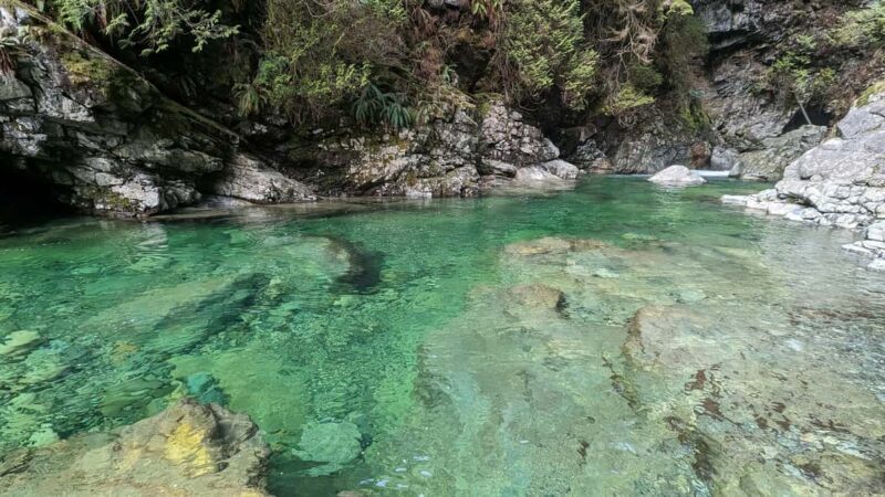 Grouse Mnt+StanleyPark+Hatchery+Cleveland Dam+LynnCanyonTOUR - Final Thoughts: Who Should Consider This Tour?