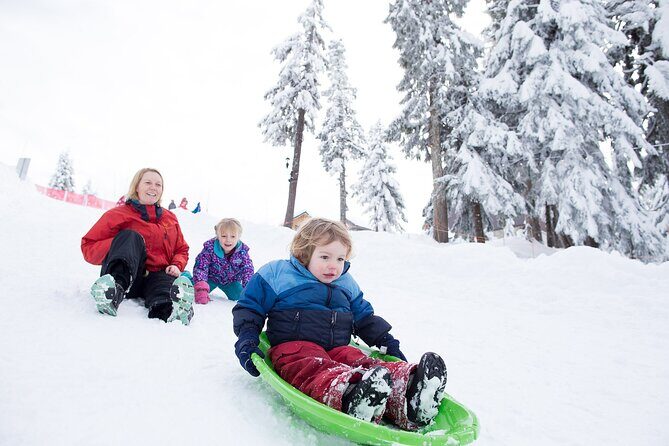 Grouse Mountain Admission Ticket - Practical Details for Your Visit