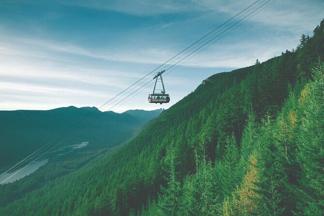 Grouse Mountain Admission Ticket - Who Will Love Grouse Mountain?