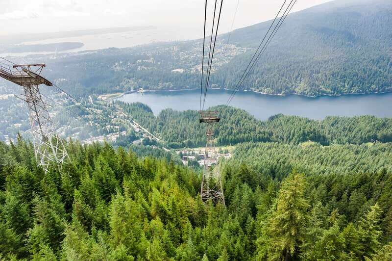Grouse Mountain, Capilano Bridge & Fish Hatchery Tour - Key Points