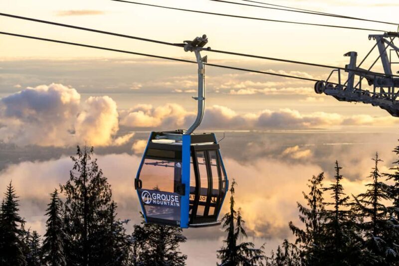 Grouse Mountain, Capilano Bridge & Fish Hatchery Tour - Detailed Experience Overview