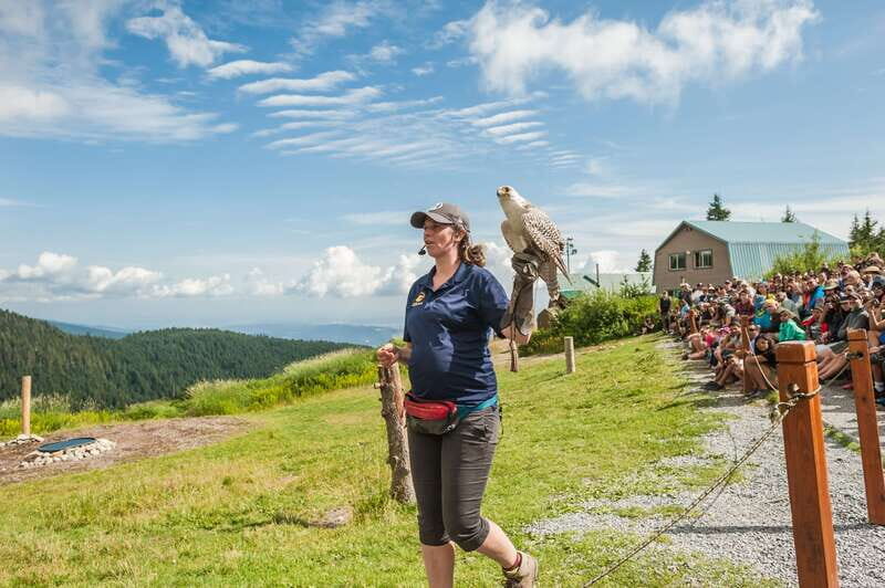 Grouse Mountain, Capilano Bridge & Fish Hatchery Tour - Who Is This Tour For?