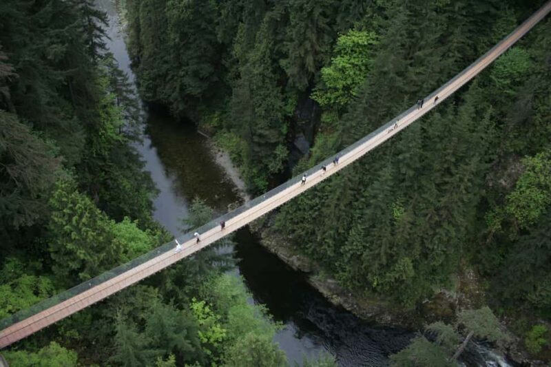 Grouse Mountain, Capilano Bridge & Fish Hatchery Tour - The Sum Up
