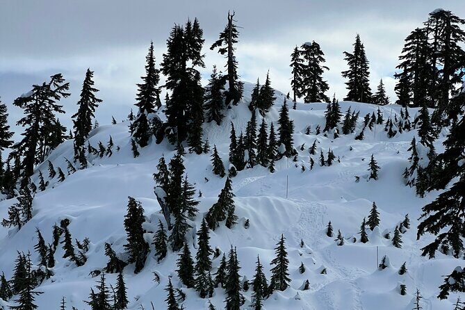 Grouse Mountain Snowshoeing Adventure with Scenic Skyride - Why It’s a Great Choice