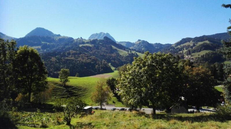 Gruyères, Cheese and Chocolate: Private Guided Tour - Final Thoughts: Who Will Love This Tour?