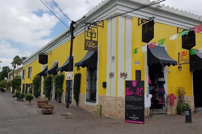 Guadalajara and Tlaquepaque Culture and Shopping - Who Is This Tour Best For?