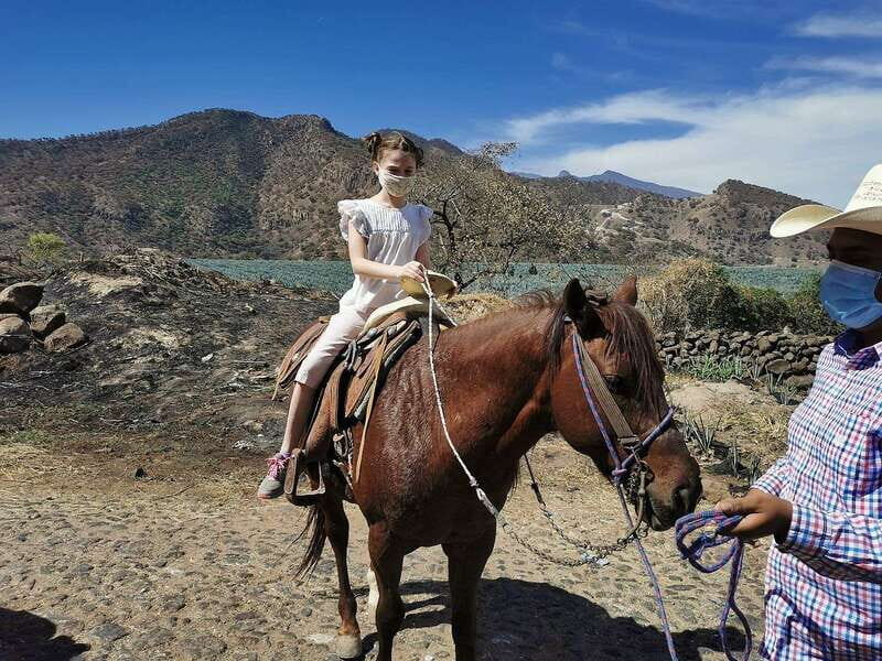 Guadalajara: Horse Riding on the Tequila Route with Tastings - An In-Depth Look at the Experience