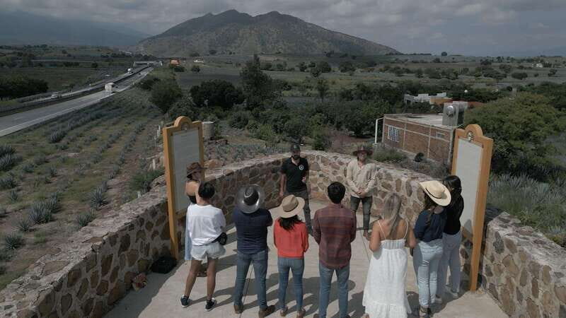 Guadalajara: Premium Tequila Tour with Tastings and Pairings - Why This Tour Stands Out