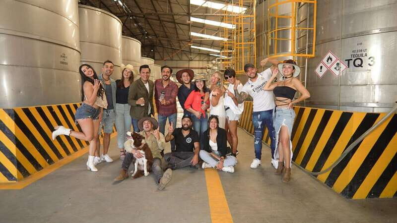 Guadalajara: Premium Tequila Tour with Tastings and Pairings - Practical Tips for a Great Experience