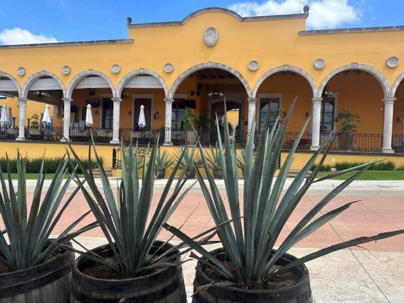 Guadalajara: Secrets of the Highlands Tequila Route - FAQs
