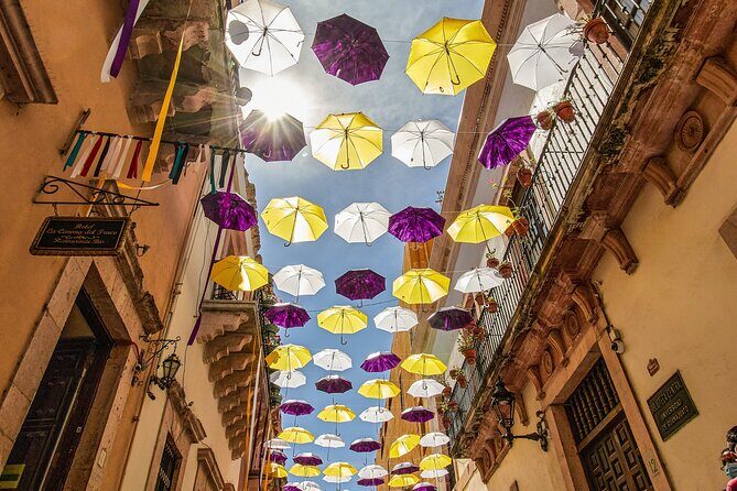 Guadalajara to Guanajuato One-Way Private Transfer - Authentic Experience and Local Insights