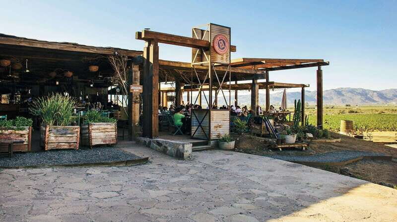 Guadalupe Valley: Complete Wine Route - Deep Dive into the Itinerary