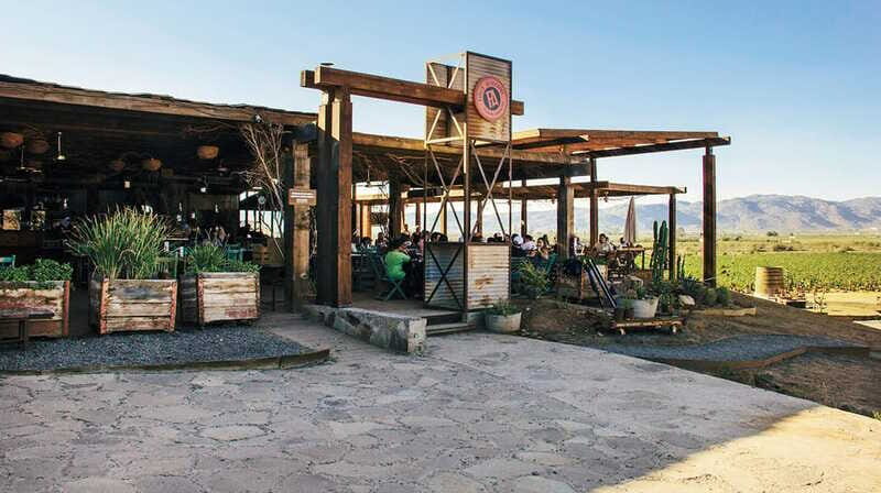 Guadalupe Valley: Complete Wine Route - Who Might Want to Skip It?