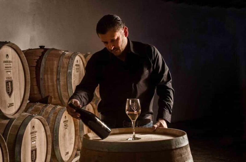 Guadalupe Valley: The Art of Wine, Exclusive Route, and Gourmet Food - Who Will Enjoy This Tour?