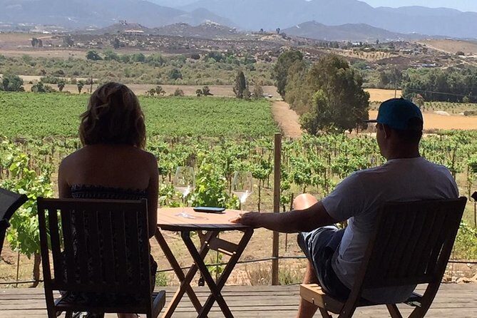 Guadalupe Valley Wine Route Tour in Baja California - Price, Value, and Practicalities