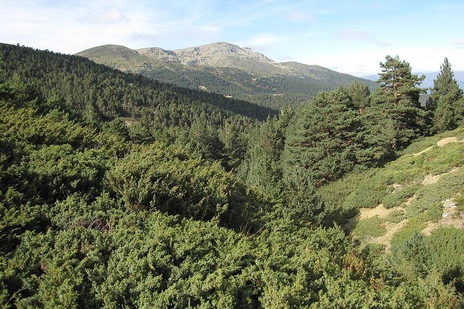 Guadarrama National Park from Madrid - An In-Depth Look at the Tour Experience
