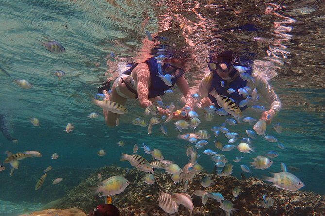 Guam's 5 Star Guided Snorkeling Tour! - An In-Depth Look at the Guam Snorkeling Experience