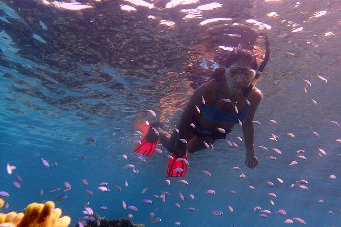 Guam's 5 Star Guided Snorkeling Tour! - FAQs