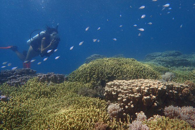 Guam's Best Beach Diving! Beginner and Advanced Dives - Final Thoughts