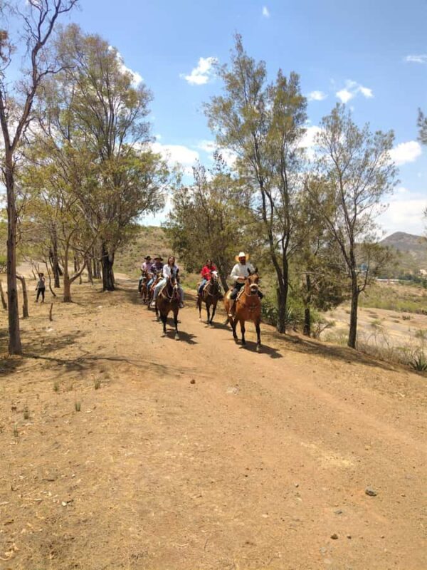 Guanajuato: horse ride tour - Key Points