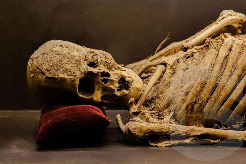 Guanajuato: Mummies, Mines and Tunnels Guided Group Tour - Why This Tour Offers Good Value