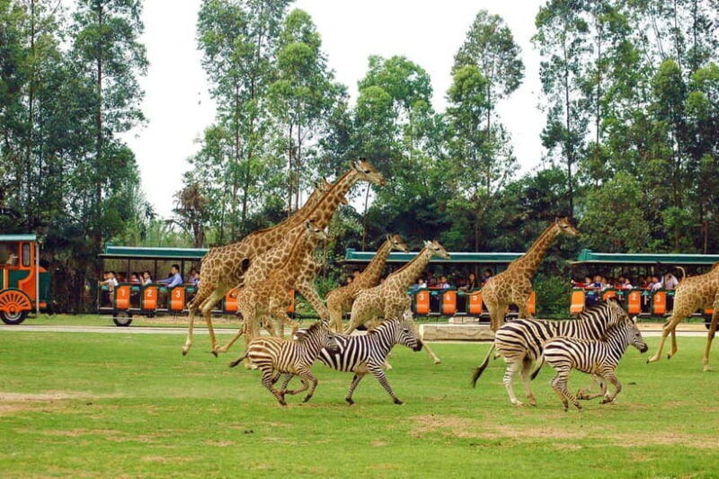 Guangzhou: Adventure, Culture & Cuisine 5-Day Trip - Guangzhou: Adventure, Culture & Cuisine 5-Day Trip — An In-Depth Review