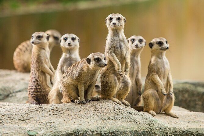 Guangzhou Chimelong Safari Park - Frequently Asked Questions