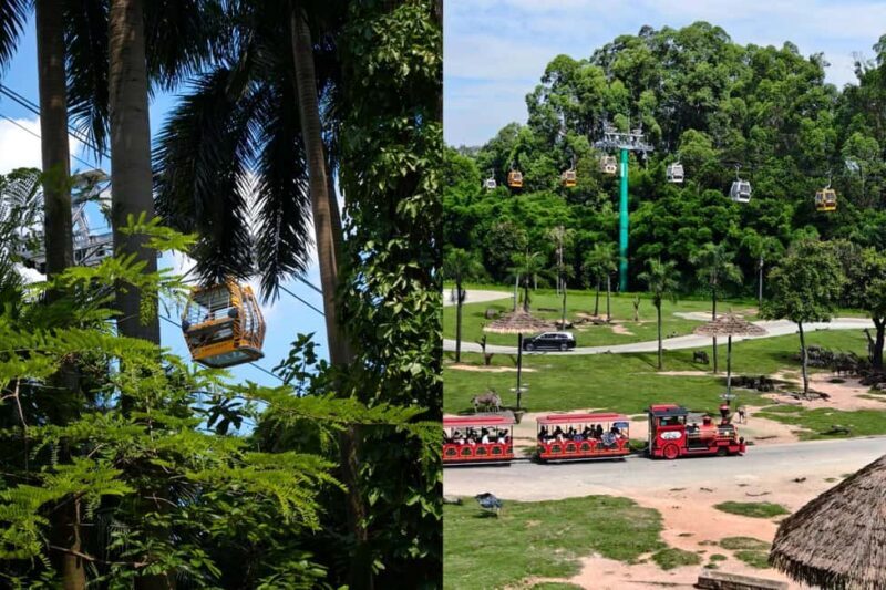 Guangzhou Chimelong: Safari Park/ParadiseOptional Day Tour - The Sum Up