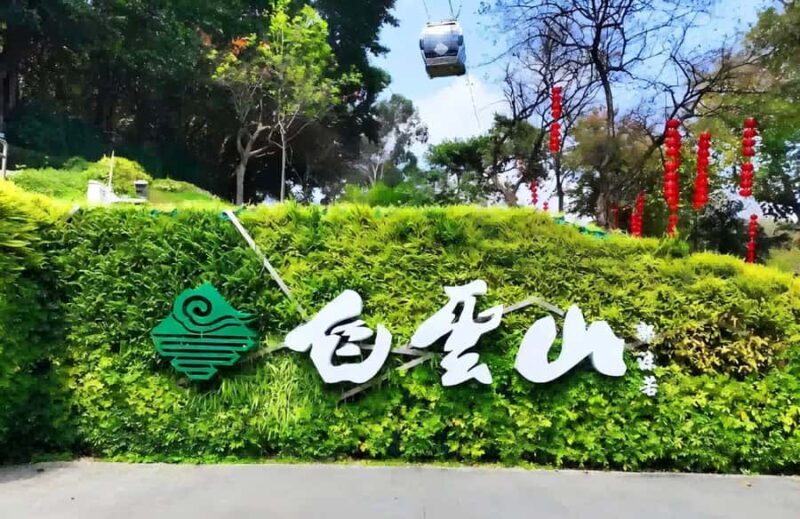 Guangzhou: City Highlights Tour with Lunch & Guide - An In-Depth Look at the Guangzhou Highlights Tour