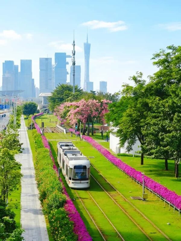 Guangzhou Day Tour: Trolley, Glass Museum & Night Cruise - The Sum Up