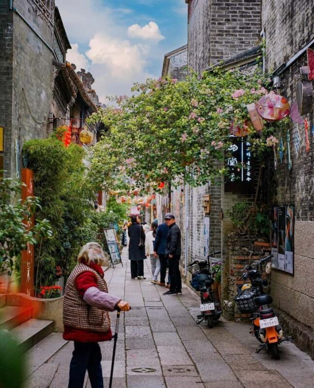 Guangzhou Day Trip: Shawan Town, Baomo Garden & Local Market - Practical Details and Value