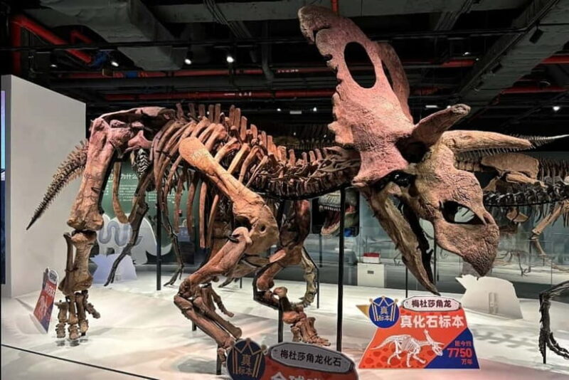 Guangzhou: Grandview Museum of Nature Science Ticket - Who Is This Tour Best Suited For?