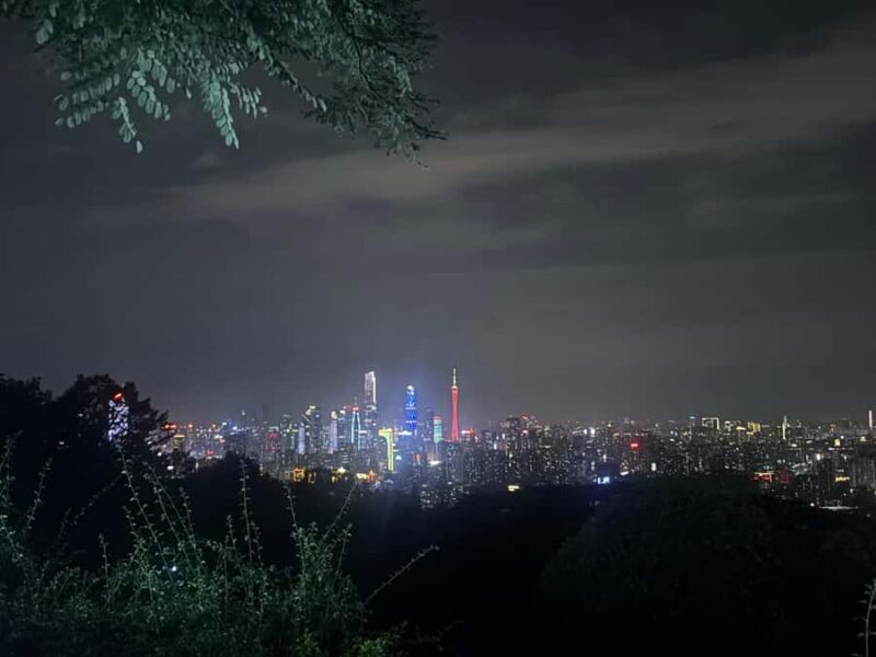 Guangzhou: Jade Market Private Tour and Guzheng Music Class - Authenticity and Cultural Significance