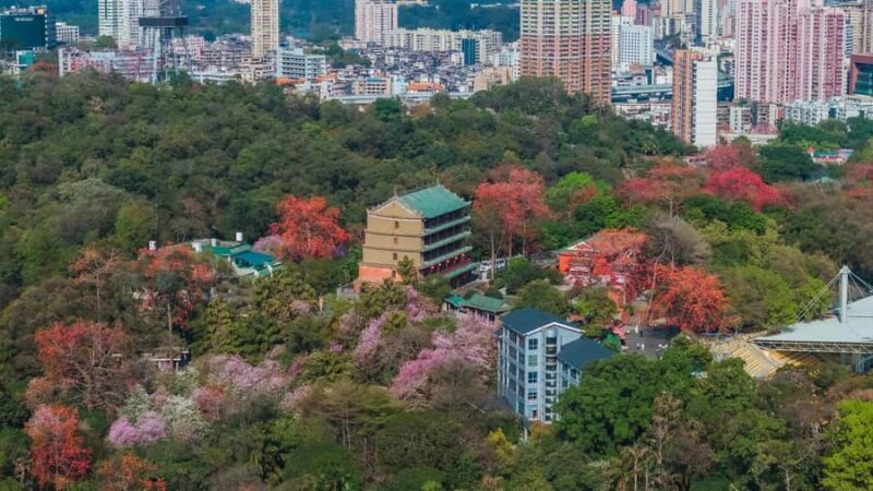 Guangzhou: Old & New City Tour with Pearl River Night Cruise - Who Will Enjoy This Tour?