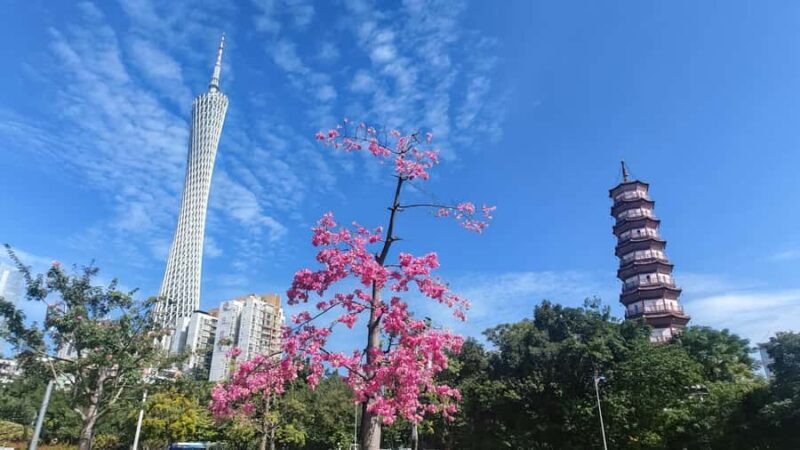 Guangzhou: Old & New City Tour with Pearl River Night Cruise - The Sum Up
