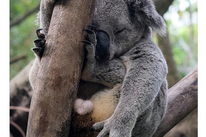 Guangzhou Private Safari Tour with Ride - Authentic Insights from Travelers