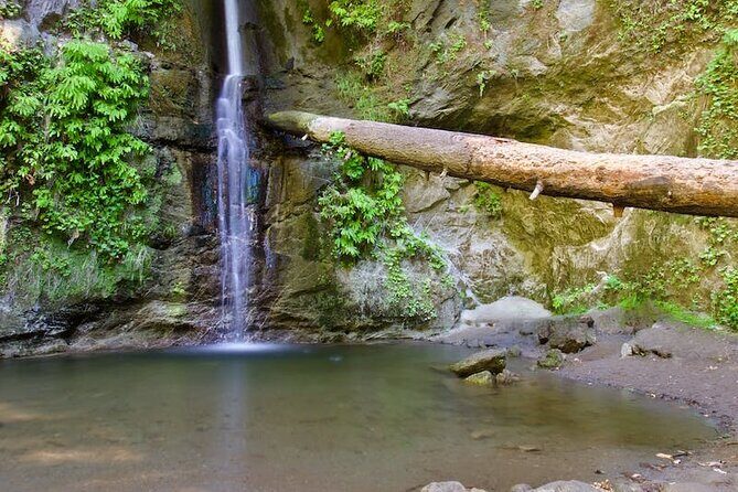 Guangzhou travel shopping business customized tour - Final Thoughts: Who Is This Tour Ideal For?