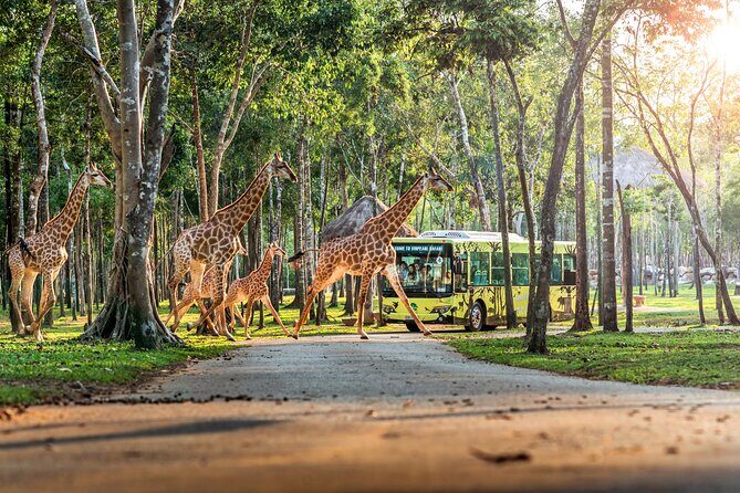 Guaranteed Departures: Wild & Wonderful! VinWonders & Safari Park - FAQ