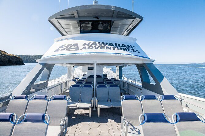 Guaranteed Dolphin and Whale Watch Tour in Kona - What’s Included and How the Itinerary Unfolds