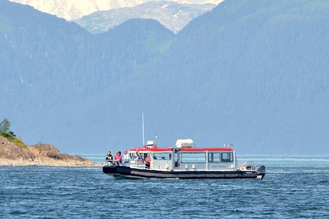 Guaranteed Whale Watching Adventure - What’s Included and What to Bring