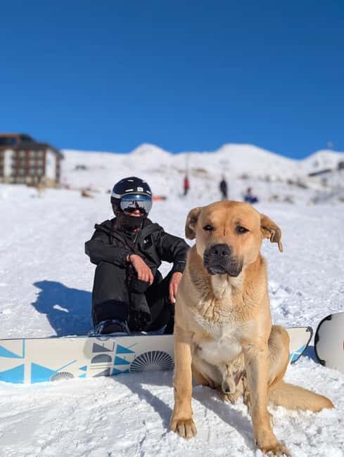 Gudauri: Snowboard/Ski Instructors - Pricing & Value
