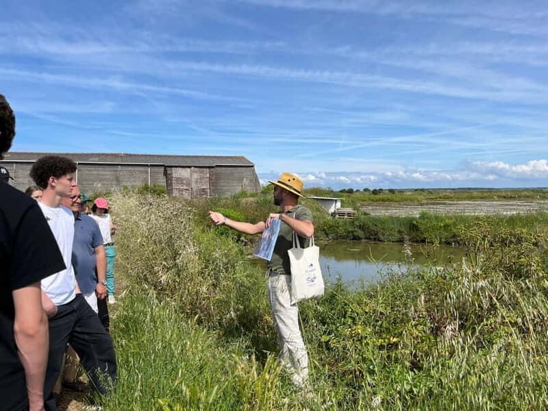 Guérande Salt Marshes tour - Discovering the Salt Marshes of Guérande