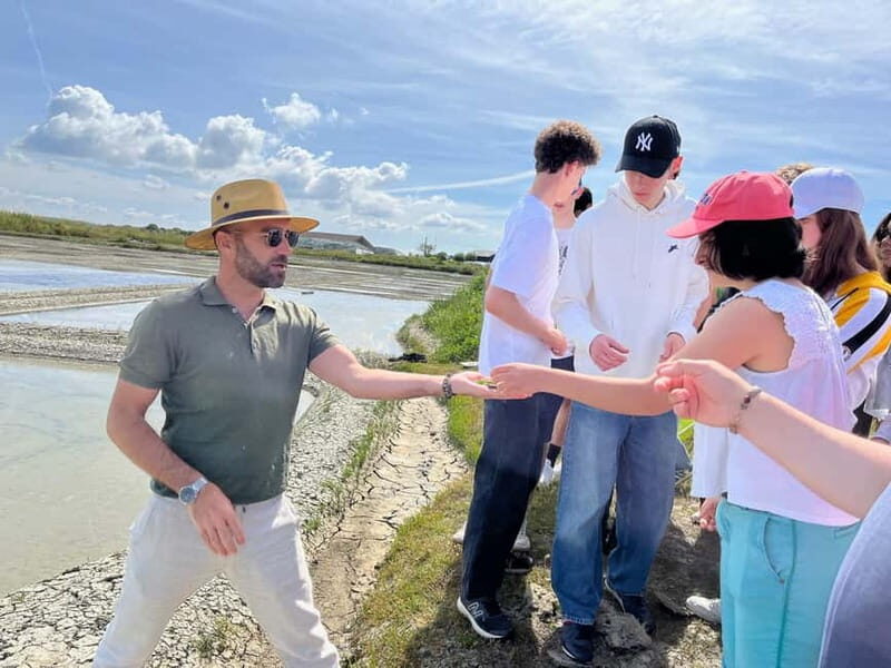 Guérande Salt Marshes tour - What’s Included and Additional Tips
