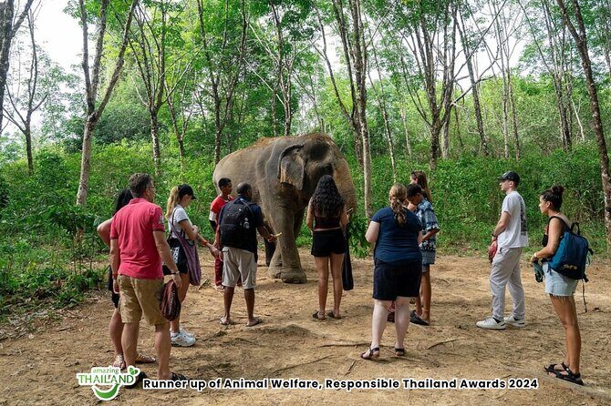 Guide Tour to Khaolak Elephant Sanctuary in Small Group - An In-Depth Look at the Tour Experience