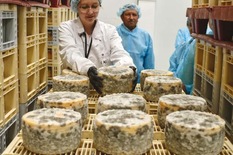 Guide Visit to the old Cheese Factory - Practical Details That Matter