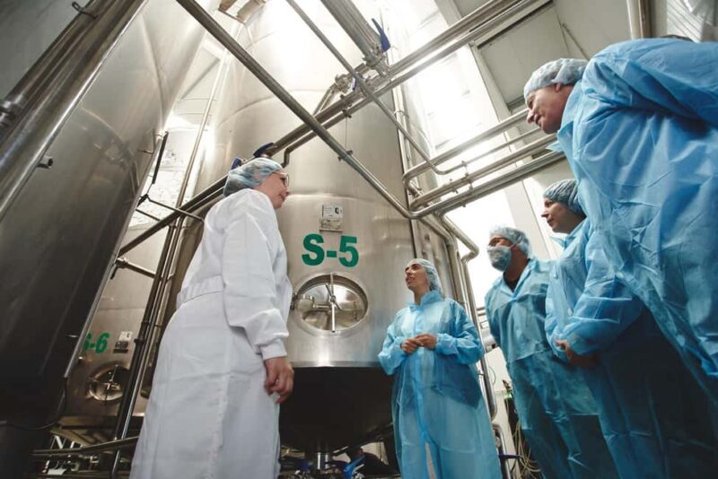 Guide Visit to the old Cheese Factory - Who Will Love This Tour